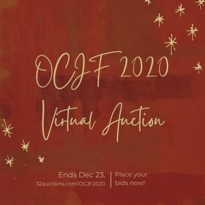 Orange County Justice Fund – Orange County's First Immigrant Bond Fund